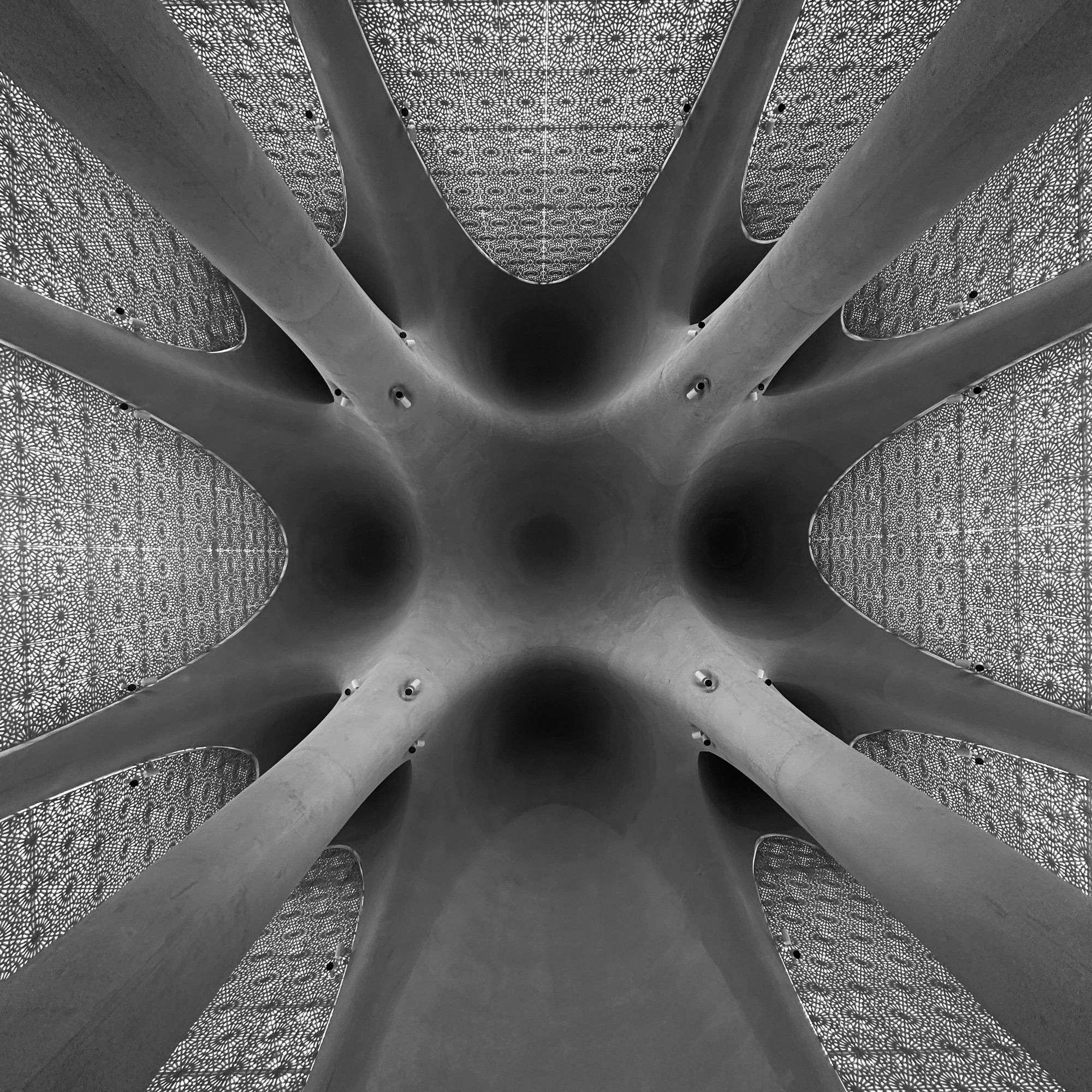 Spanish Lens | Manuel Chaure